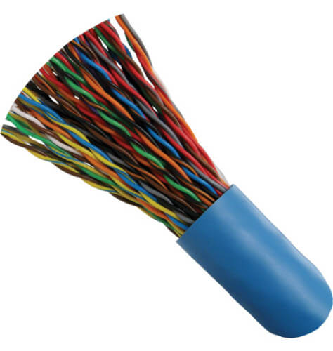 50 Pair Cat 5e